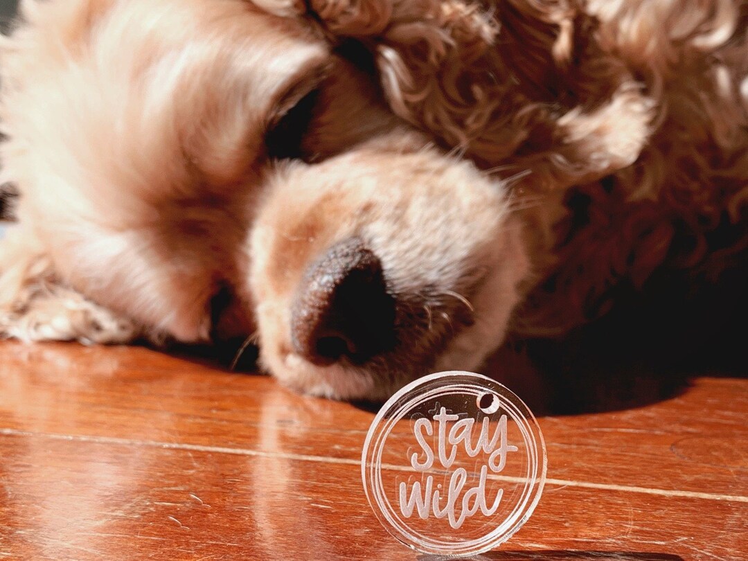 Funny Dog Tag, Stay Wild Engraved Cast Acrylic Dog Tag - Etsy