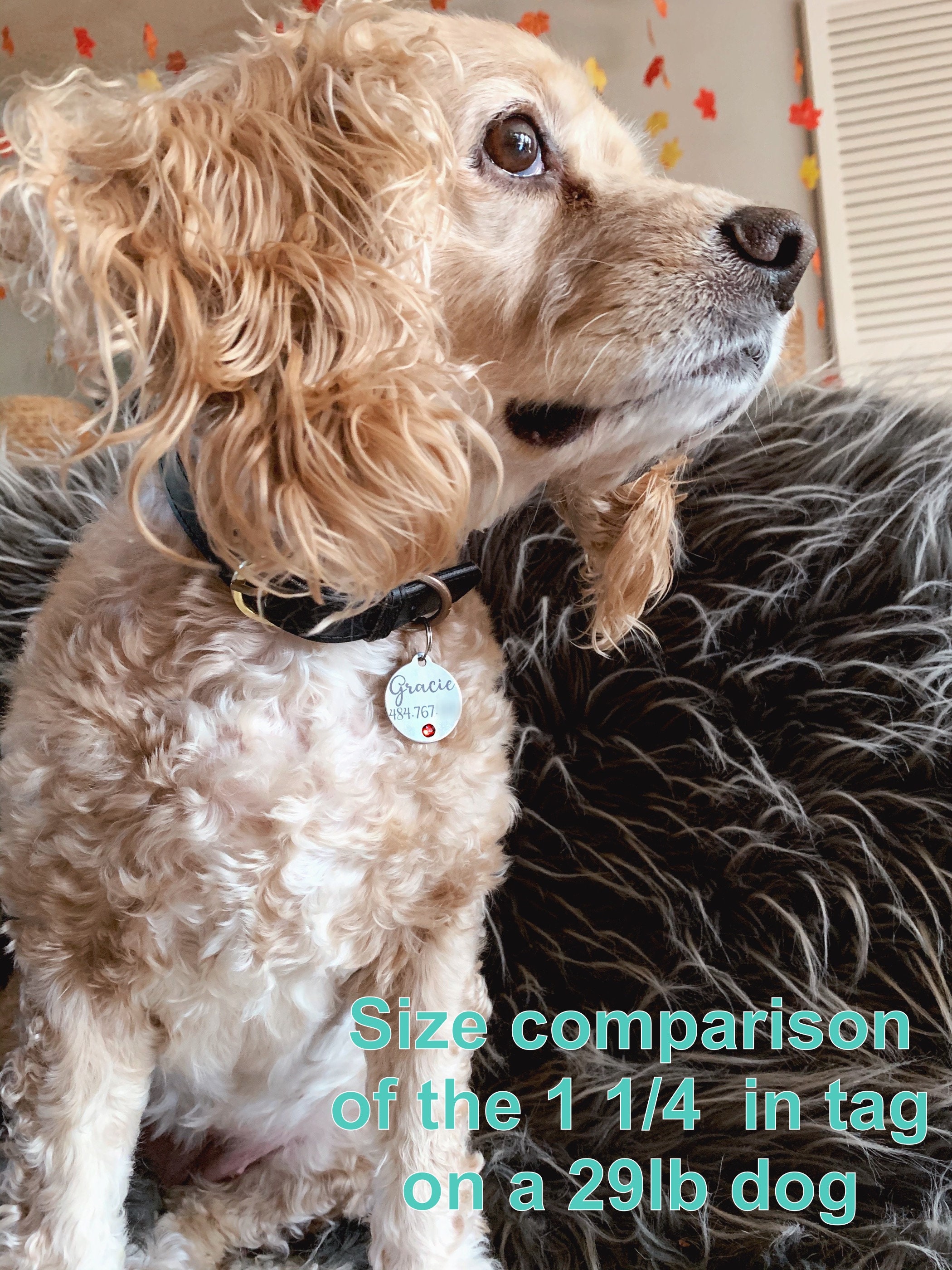 Identification Tag for Female Dogs, Funny Dog Tag, I Love How the Grass ...