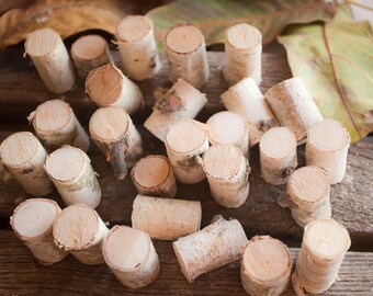 6 Birch sticks20 inches long. White Birch Branches. Birch | Etsy