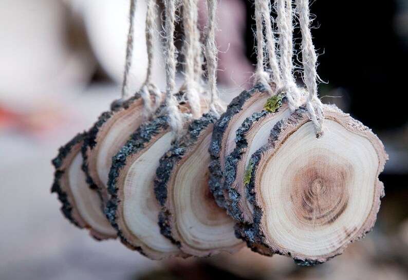 10 Blanktree Branch Tags Wood Slices Tree Slices Wedding - Etsy