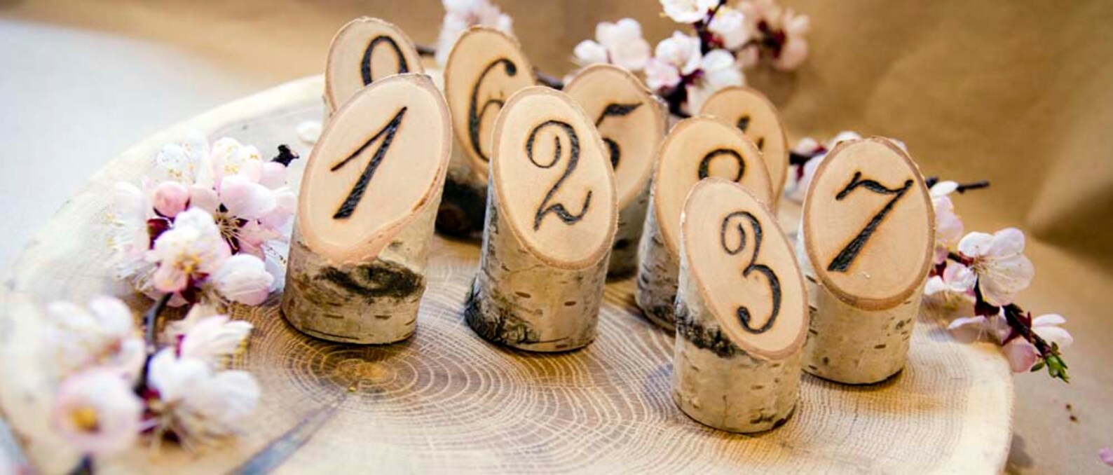 Natural Birch Woodburned Table Numbers Wooden Table Numbers | Etsy