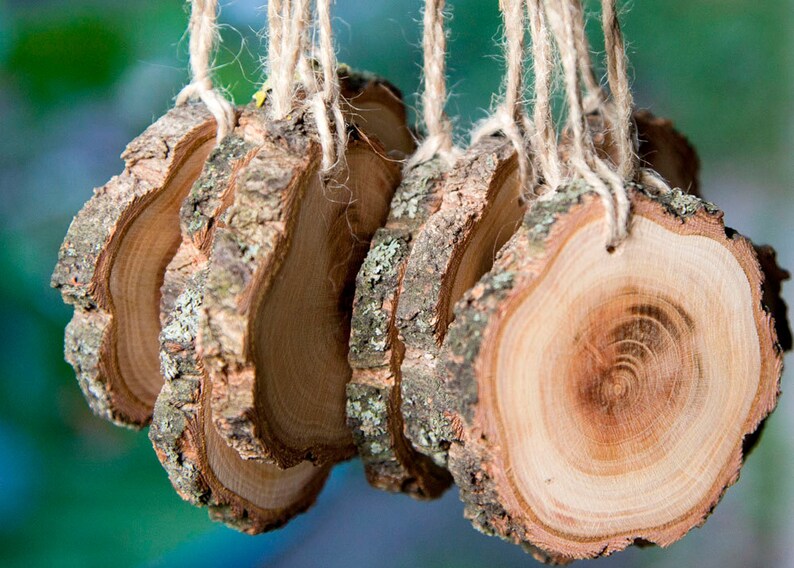 10 Blanktree Branch Tags Wood Slices Tree Slices Wedding - Etsy