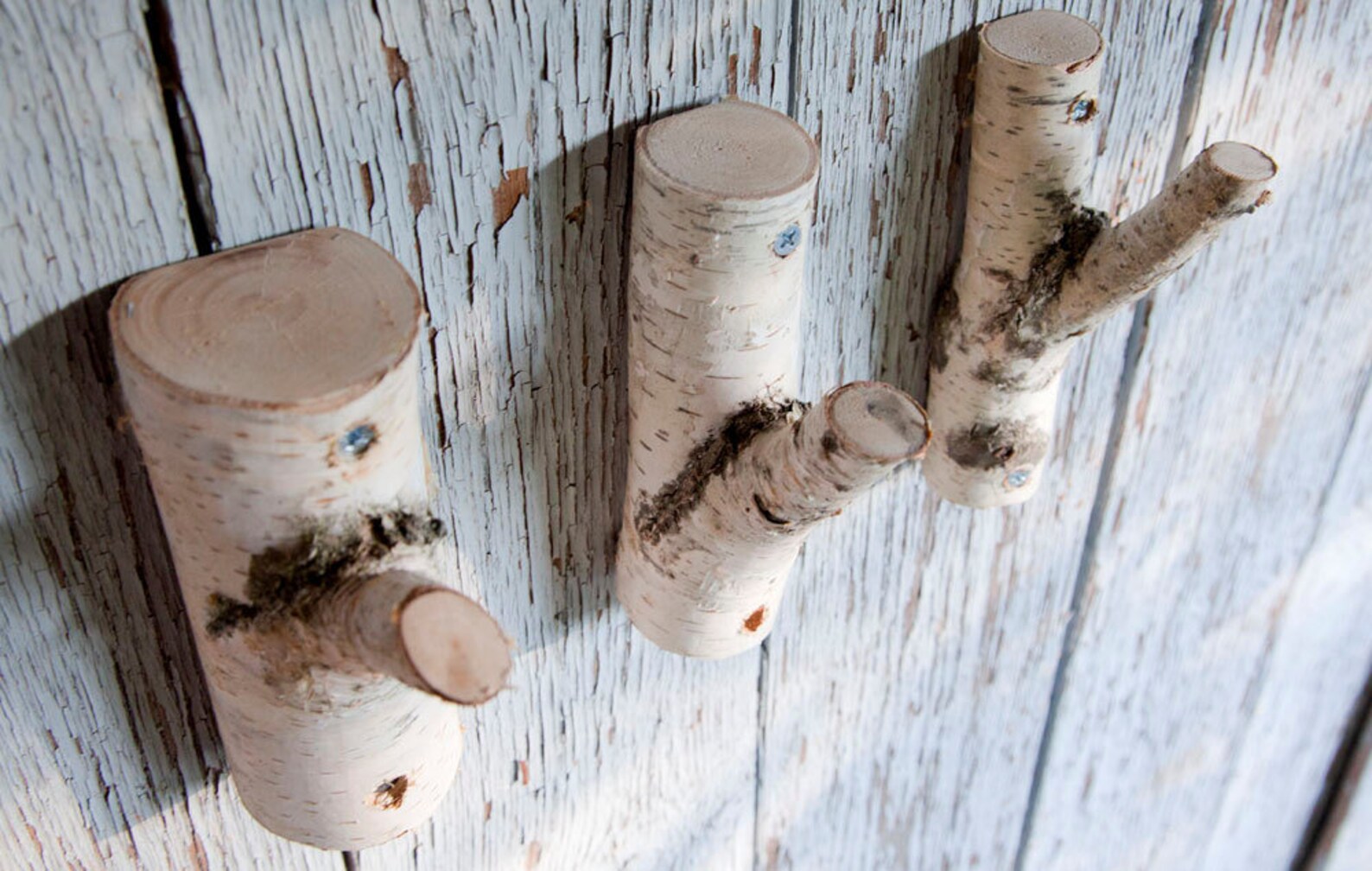 5 рс. Natural Branch Wall Hooks Rustic Wooden Coat Hooks | Etsy
