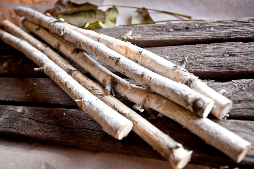 6 Birch Sticks20 Inches Long. White Birch Branches. Birch - Etsy