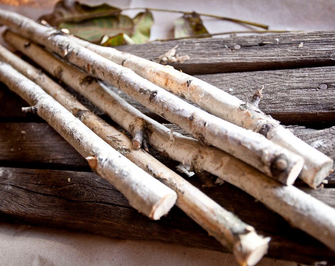 6 Birch Sticks20 Inches Long. White Birch Branches. Birch | Etsy