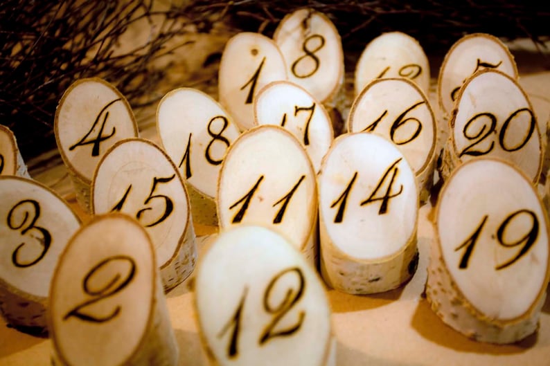 Natural Birch Woodburned Table Numbers Wooden Table Numbers - Etsy