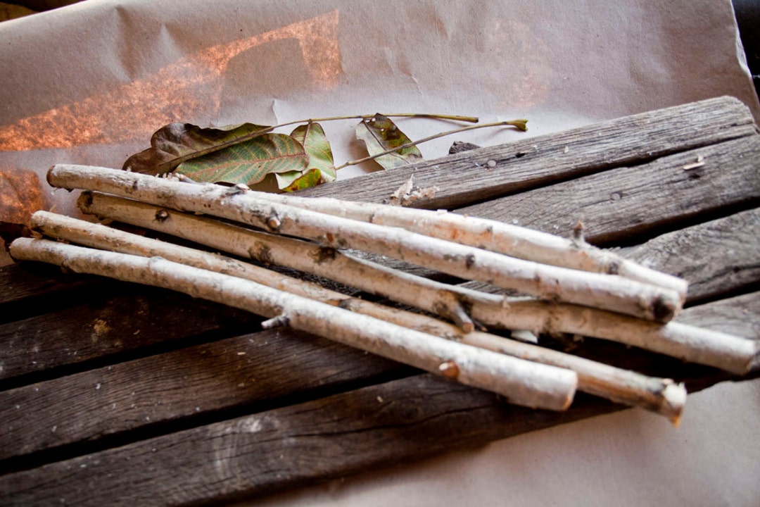 6 Birch Sticks20 Inches Long. White Birch Branches. Birch - Etsy