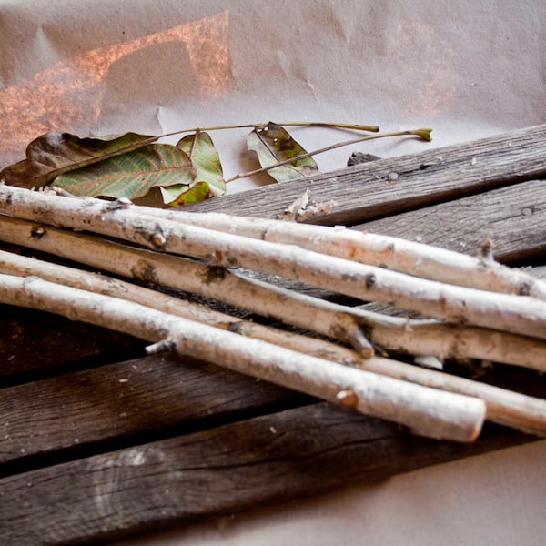 White Birch Logs - Etsy