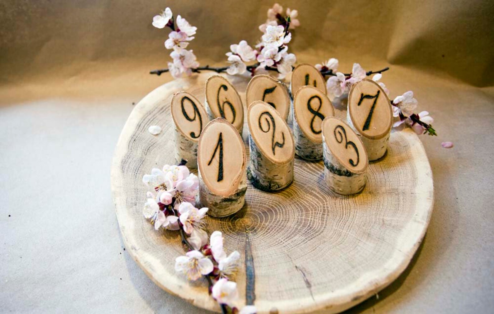 Natural Birch Woodburned Table Numbers Wooden Table Numbers | Etsy