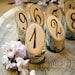 Natural Birch Woodburned Table Numbers Wooden Table Numbers - Etsy