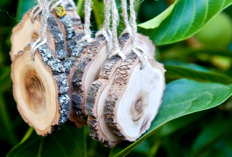 10 Blanktree Branch Tags Wood Slices Tree Slices Wedding - Etsy