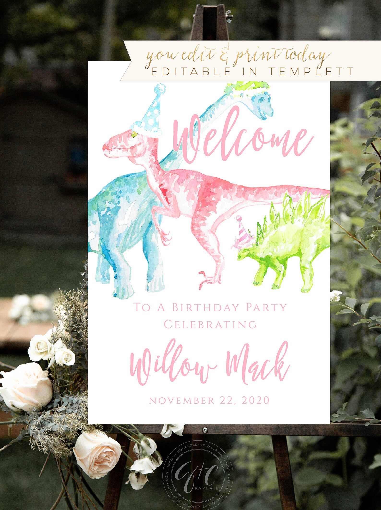 Dinosaur Welcome Sign Birthday Welcome Sign Pastel - Etsy