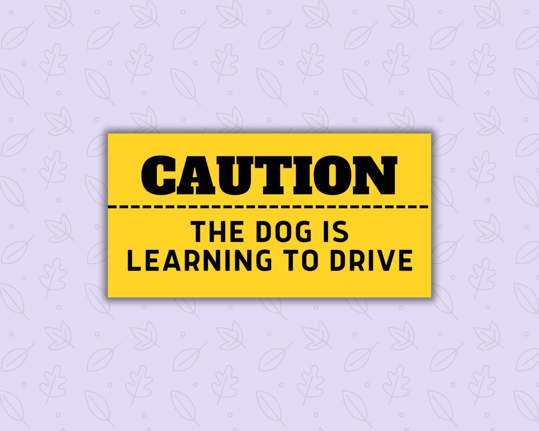 Caution the Dog is Learning to Drive | Bumper Sticker | Gen Z Humor ...