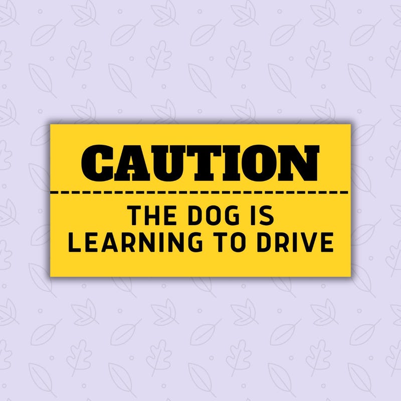 Dog Drive Car Sticker - Etsy