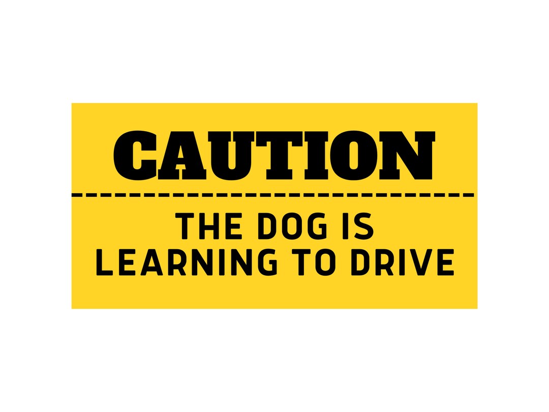 Caution the Dog is Learning to Drive Bumper Sticker Gen Z Humor Funny ...