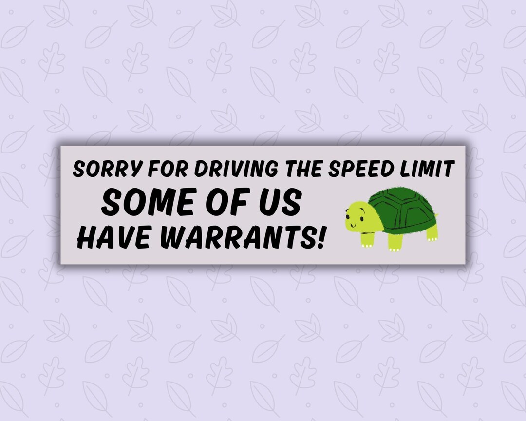 Sorry for Driving the Speed Limit | Bumper Sticker | Gen Z Humor ...