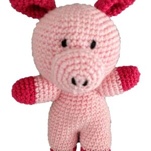 Piggy the Pig Crochet Kit Learn to Crochet, Craft Kit, Diy, Amigurumi ...