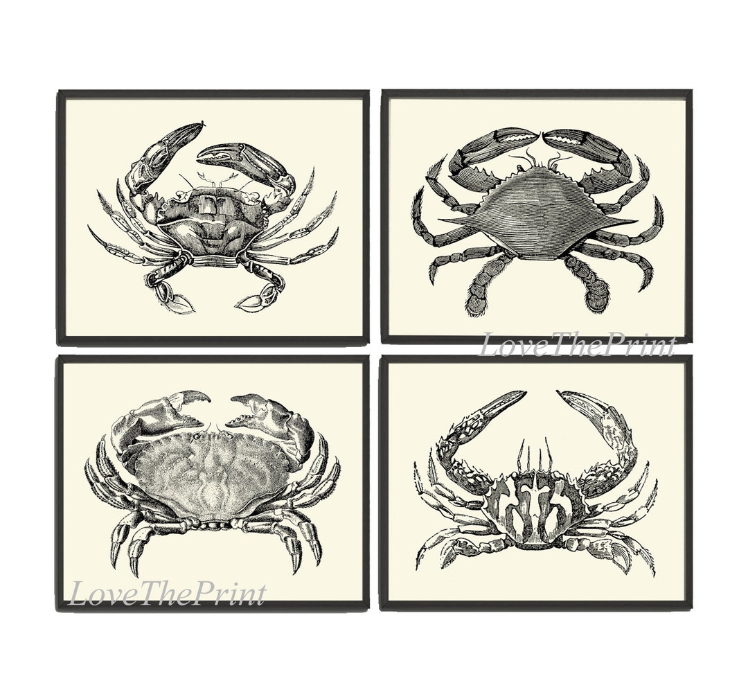 Crab Print Set of 4 Beautiful Antique Vintage Crabs Sea Ocean Beach ...