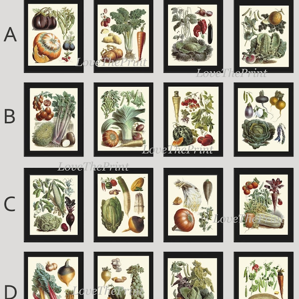 Vegetable Art Print - Etsy