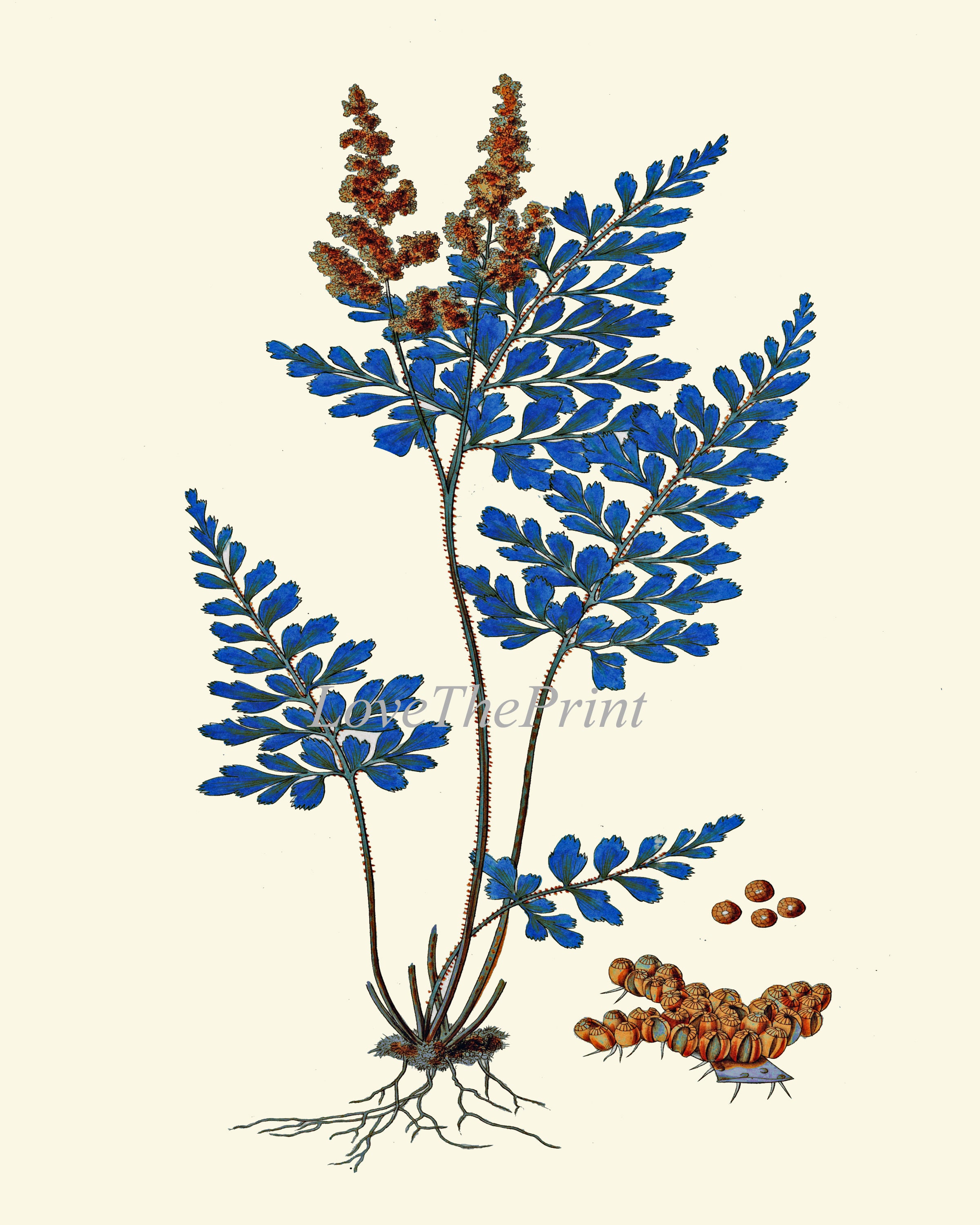 Blue Fern Print Set of 16 Wall Art Beautiful Antique Indigo - Etsy