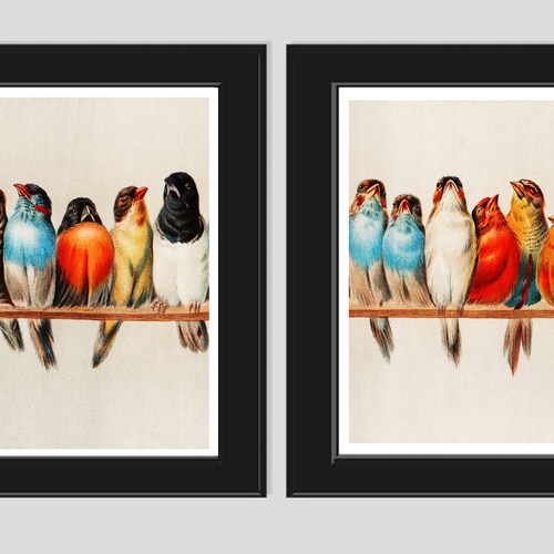 Vintage Bird Print A Perch of Birds Colorful Bird Print - Etsy
