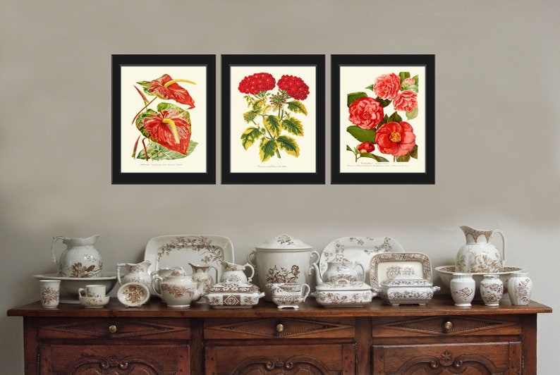 Red Flowers Botanical Prints Set of 3 Beautiful Antique - Etsy