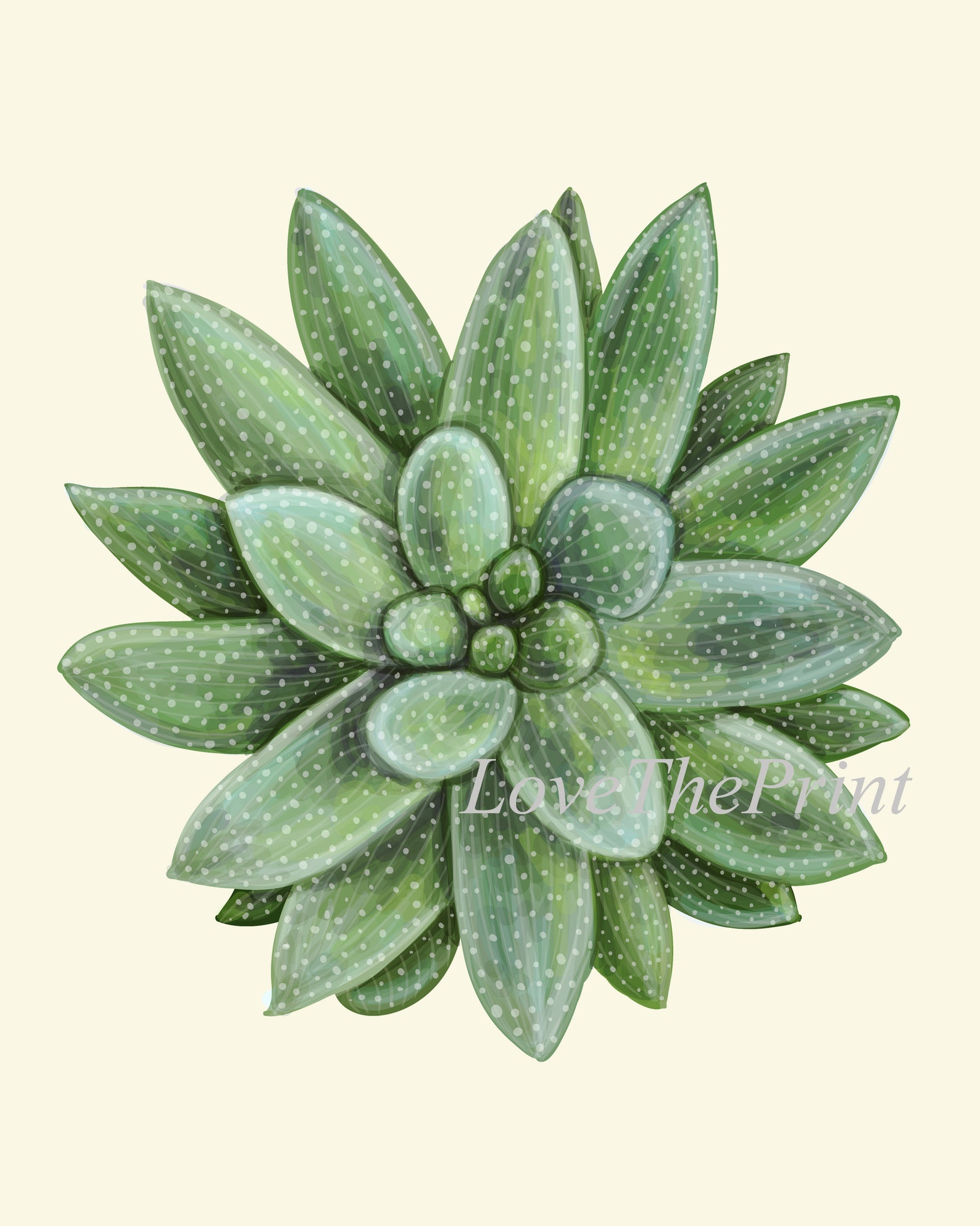Succulent Wall Art Print Set of 4 Beautiful Watercolor Drawing Picture ...