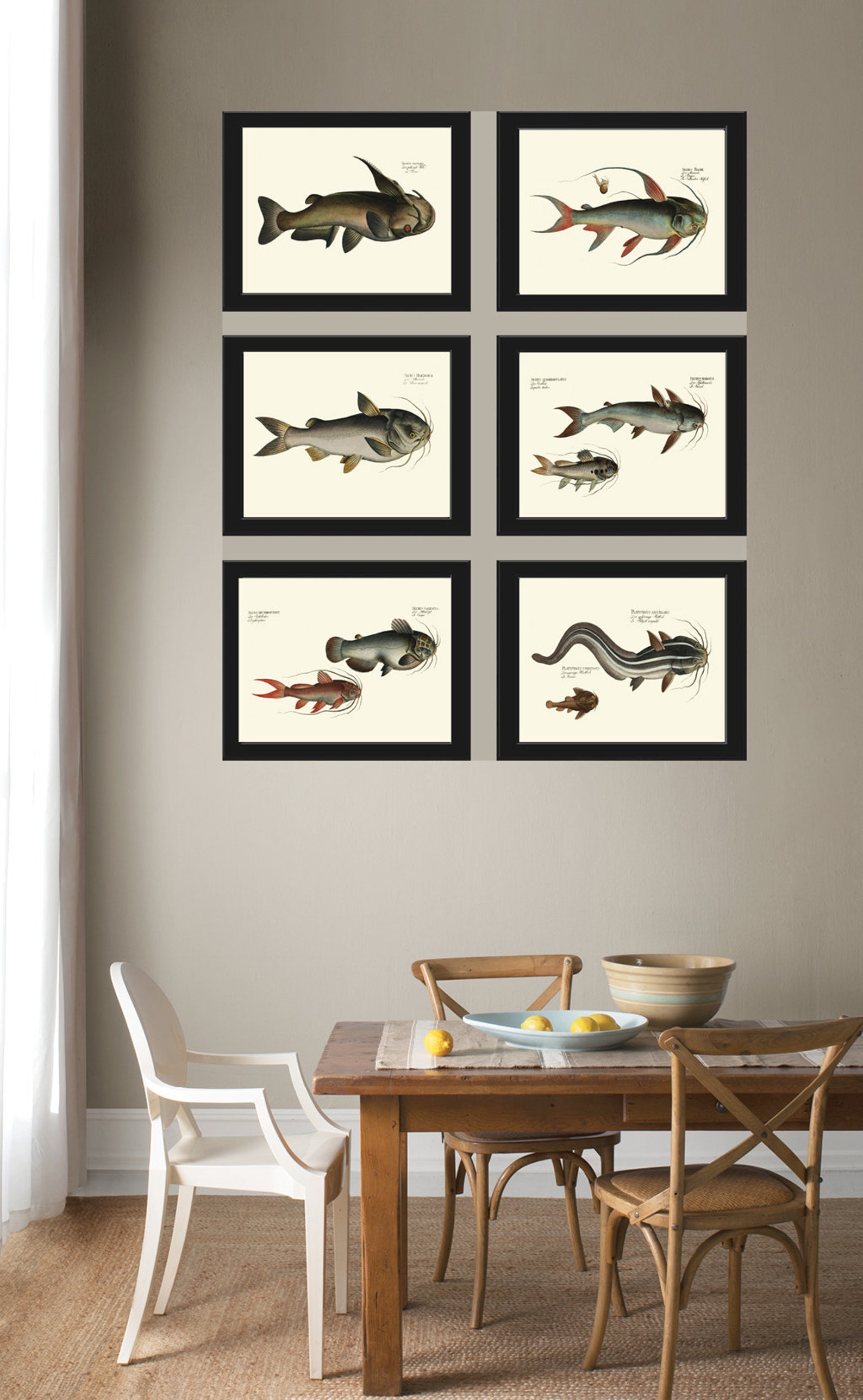 Fish Catfish Print Set of 6 Antique Beautiful Wall Art - Etsy