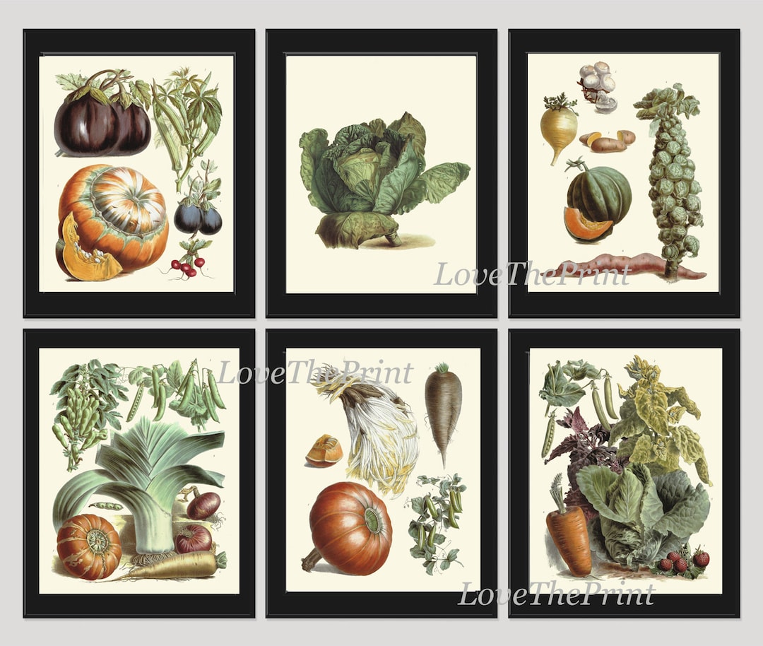 Vegetable Print Set of 6 Wall Art Beautiful Antique French Garden ...