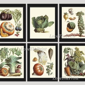 Vegetable Print Set of 6 Wall Art Beautiful Antique French Garden ...