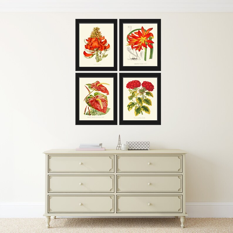 Tropical Red Flowers Art Print Set of 4 Botanical Antique Anthurium ...