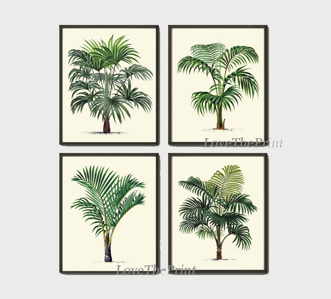 Palm Tree Botanical Art Print Set of 4 Beautiful Antique Green Tropical ...