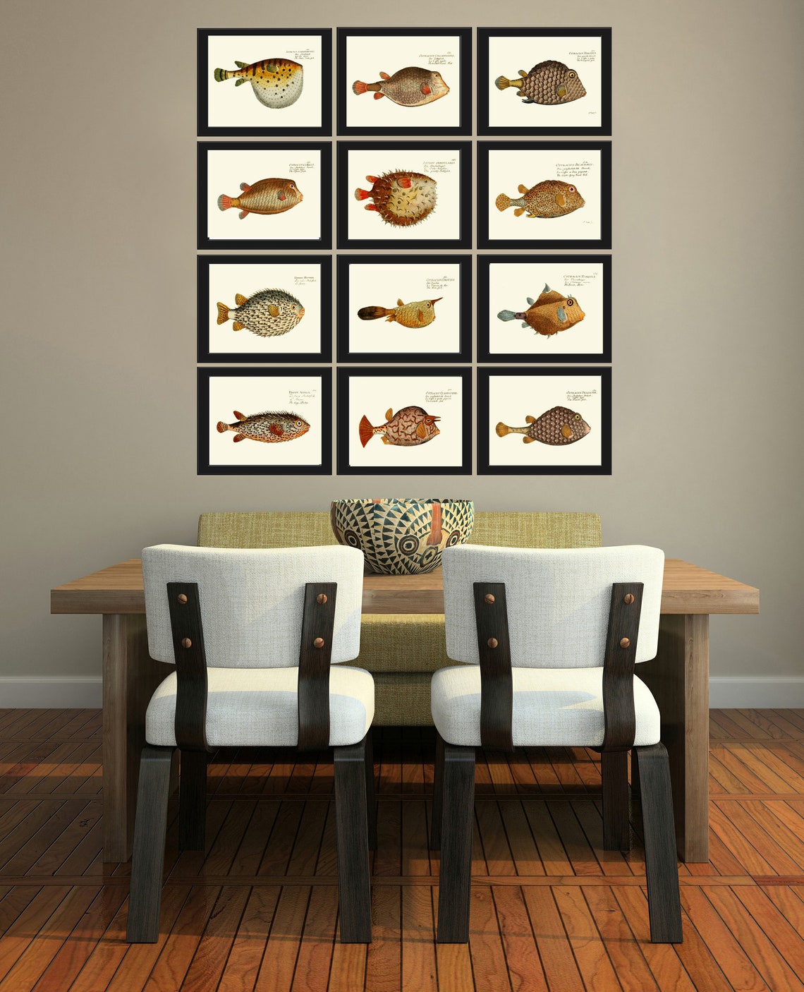 Fish Wall Art Print Set of 12 Beautiful Antique Natural Science ...