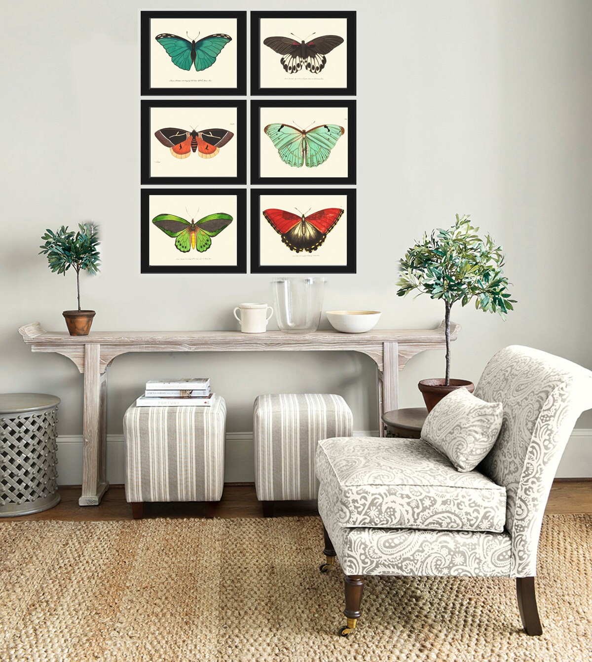 Butterfly Print SET of 6 Art Print 8X10 NODD Antique Butterfly Insect ...