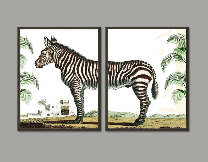 Zebra Print Set of 2 Beautiful Antique Safari Tropical Animal - Etsy