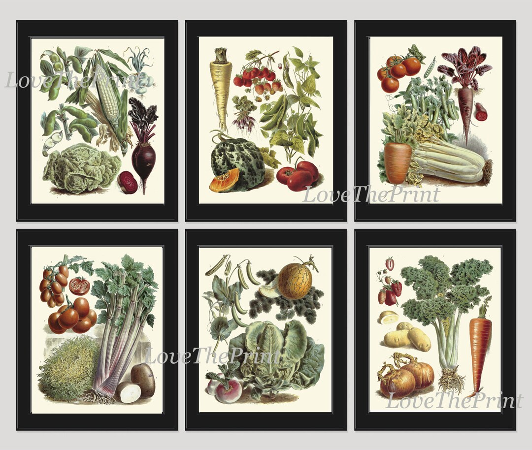 Vegetable Print Set of 6 Wall Art Beautiful Antique French Garden ...