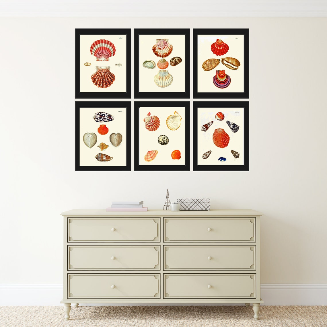 Red Seashell Print Wall Art KG5 Beautiful Antique Illustration Sea ...