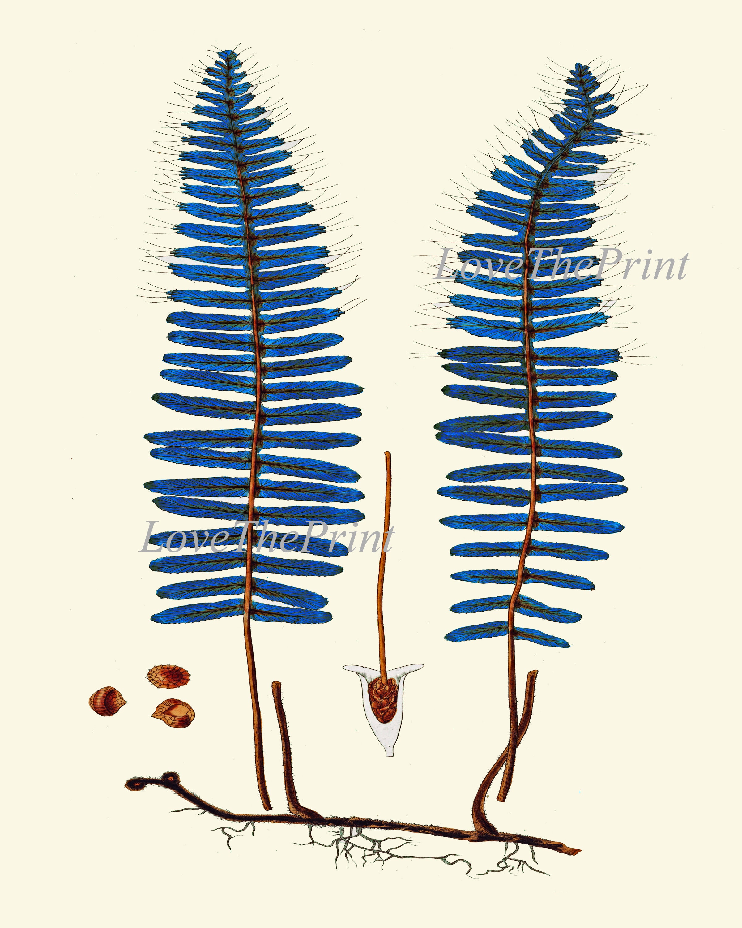 Blue Fern Print Set of 16 Wall Art Beautiful Antique Indigo - Etsy