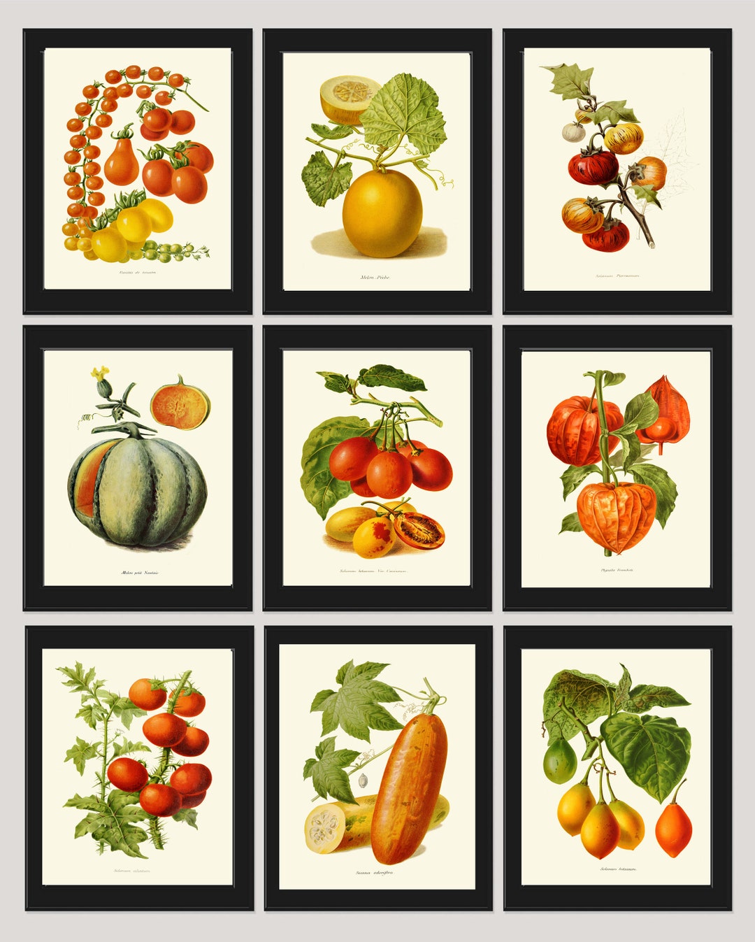 Vegetable Wall Art Print Set of 9 Beautiful Colorful Vegetables Tomato ...