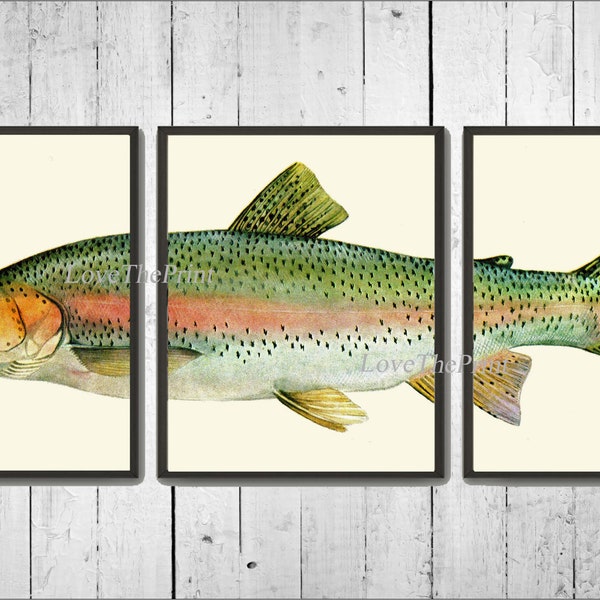 Rainbow Trout Art - Etsy