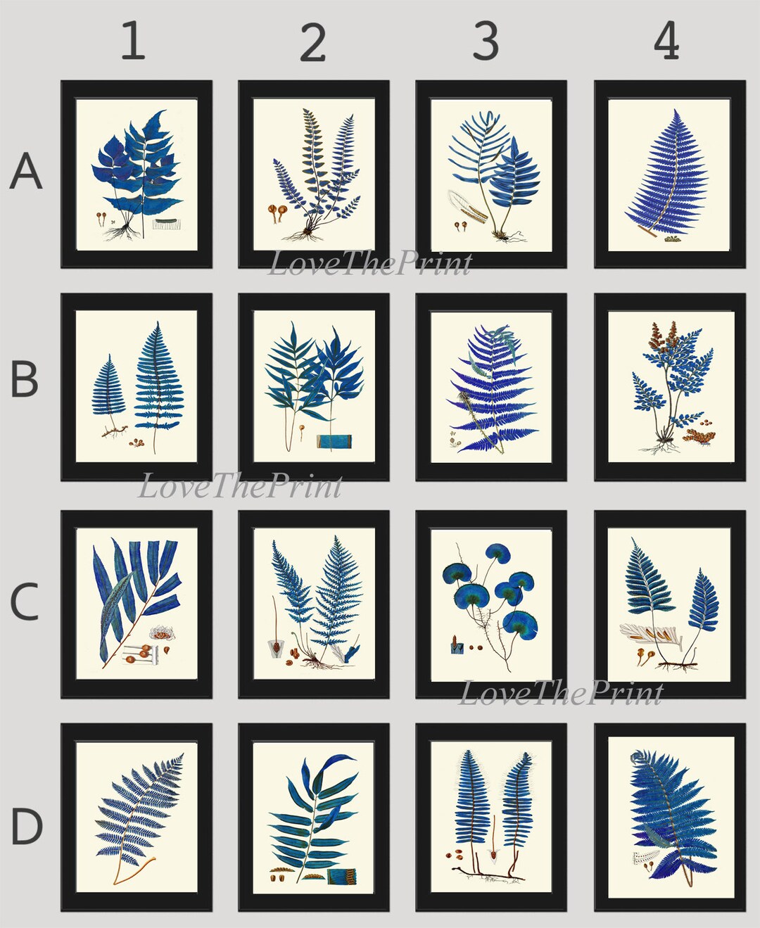 Blue Fern Print Set of 16 Wall Art Beautiful Antique Indigo Colorful ...