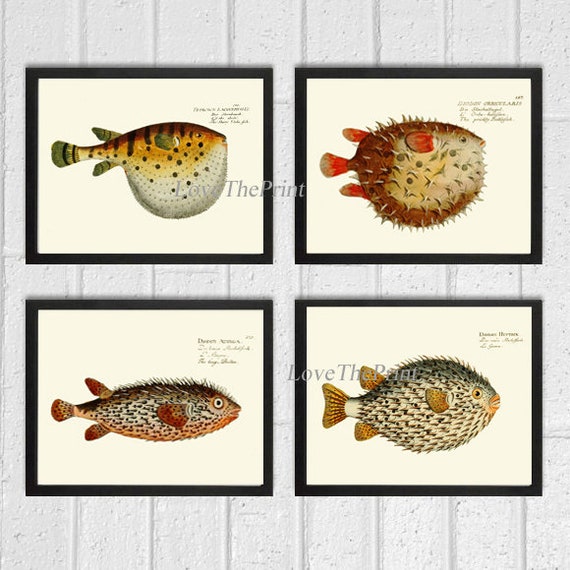 Tropical Fish Print Set of 4 Prints Beautiful Tropical Antique - Etsy