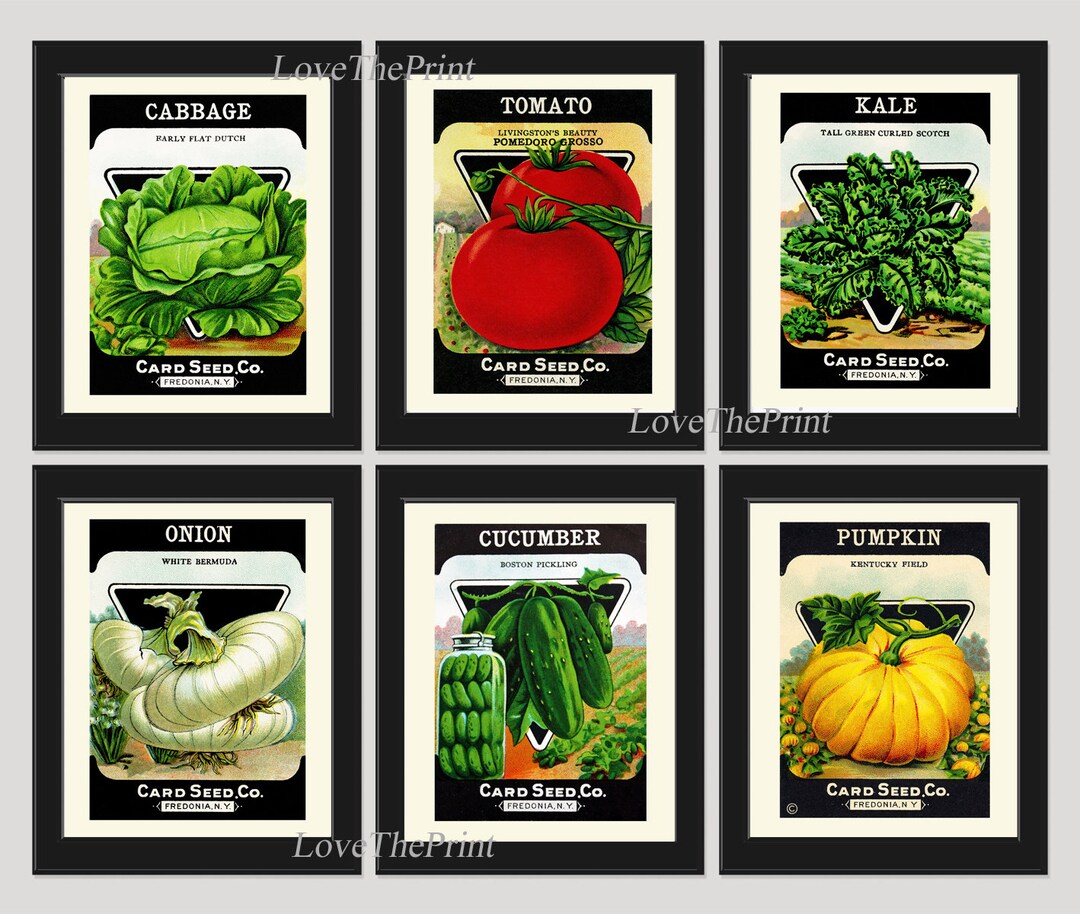 Vintage Seed Packets Prints Set of 6 Wall Art Beautiful Green Farm ...