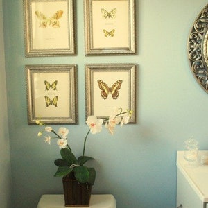 Butterfly Print Art C6 4x6 5x7 8x10 11x14 Beautiful Large Antique ...