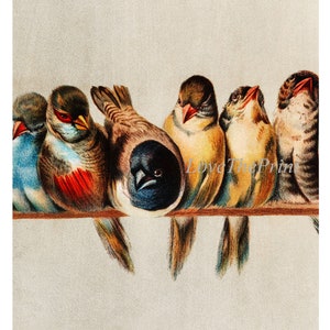 A Perch of Birds Print Set of 4 Prints Beautiful Vintage Antique Blue ...