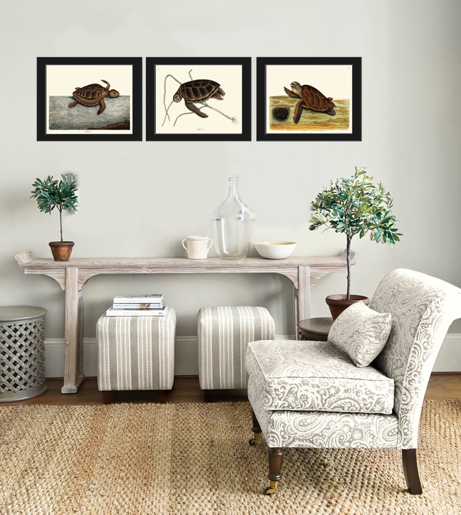 Turtle PRINT SET of 3 Art Prints Beautiful Antique Turtles Home Room ...