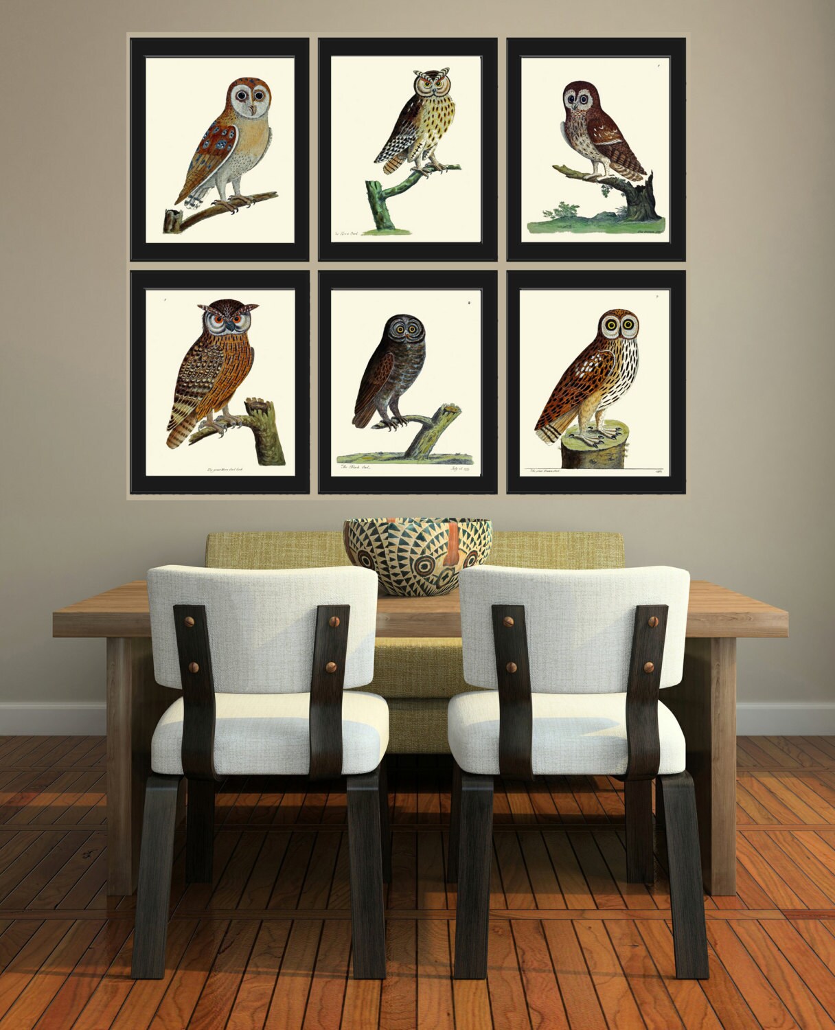 Antique Owl Print Set of 6 Beautiful Antique Green Nature - Etsy