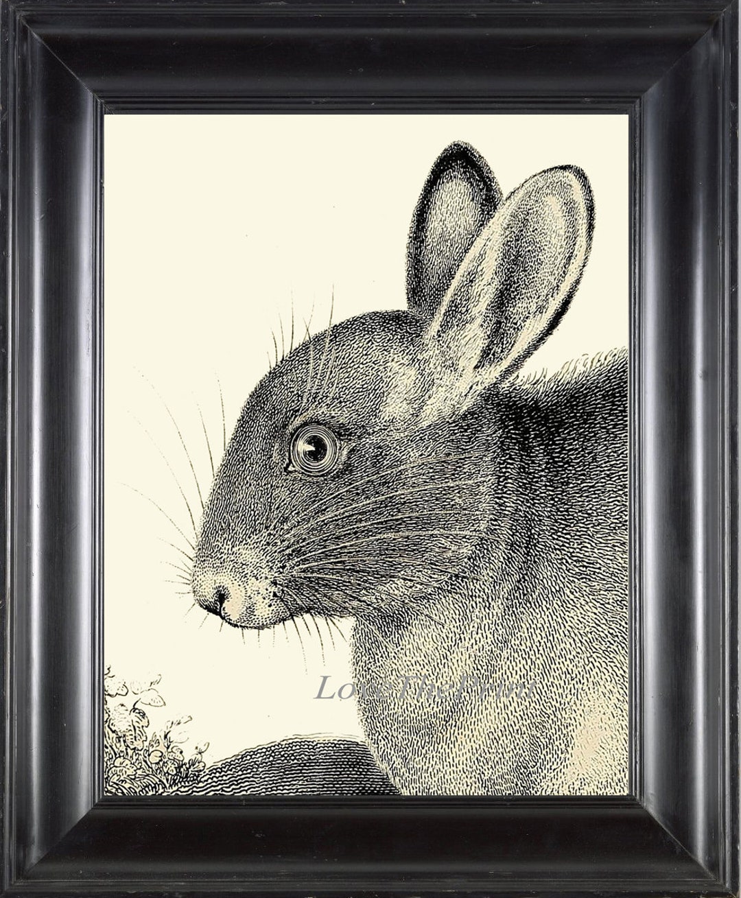 Bunny Rabbit Print 14 Wall Art Beautiful Antique Animal Illustration ...