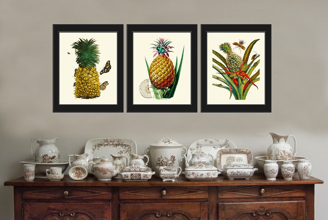 Pineapple Tropical Wall Art Set of 3 Prints Beautiful Antique - Etsy