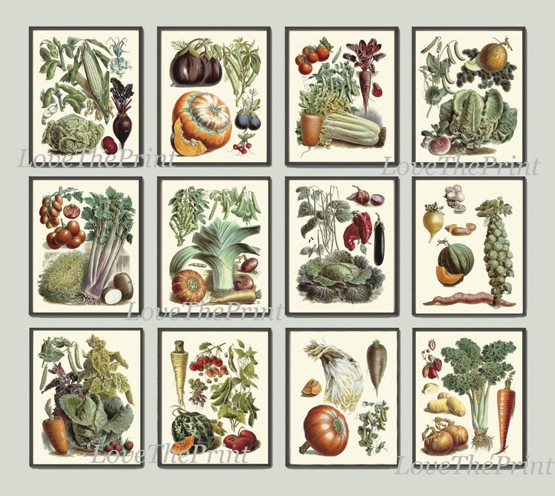 Vegetable Print Set of 12 Wall Art Beautiful Antique French Garden ...